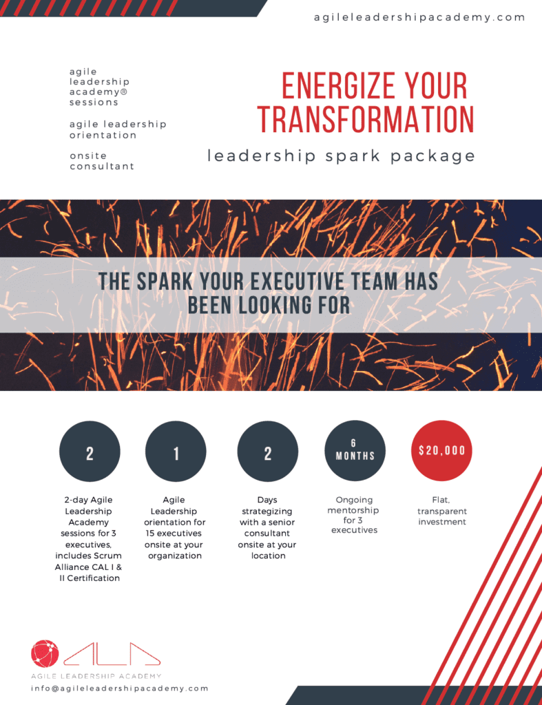 Leadership Spark Package - Lithespeed