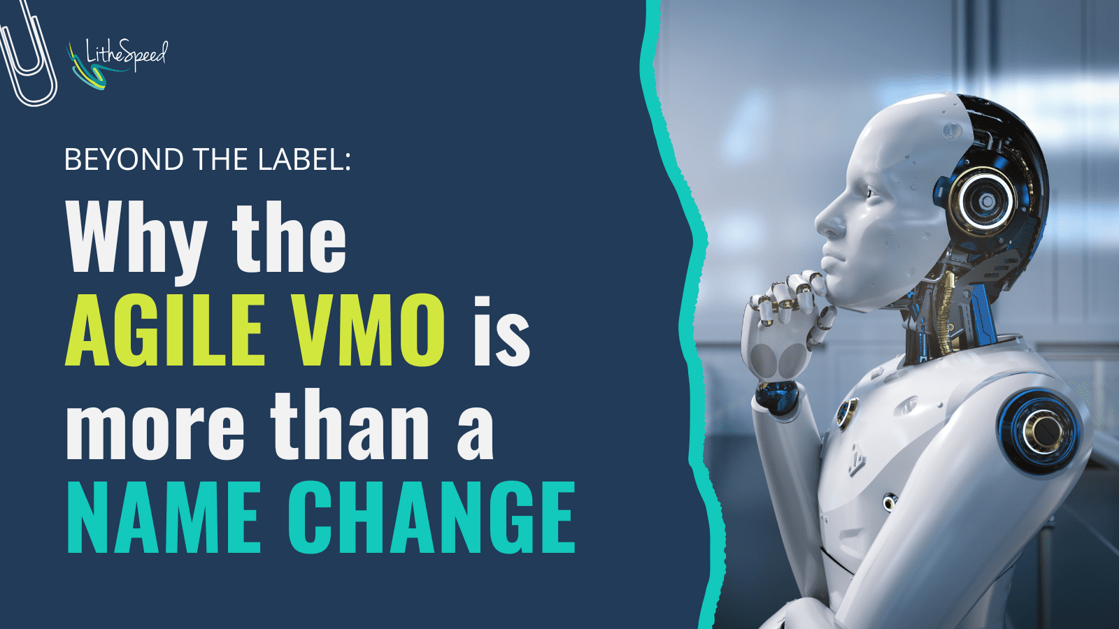 Beyond the Label: Why the Agile VMO Is More Than a Name Change - Lithespeed